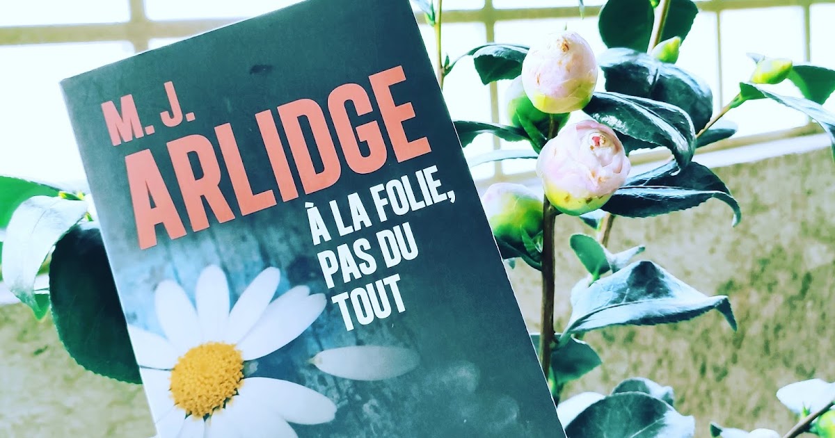 "A la folie, pas du tout" de M.J Arlidge (Editions les Escales): beaucoup