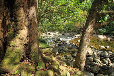 Have Camera, Will Travel.: Maui and Haleakala National Park