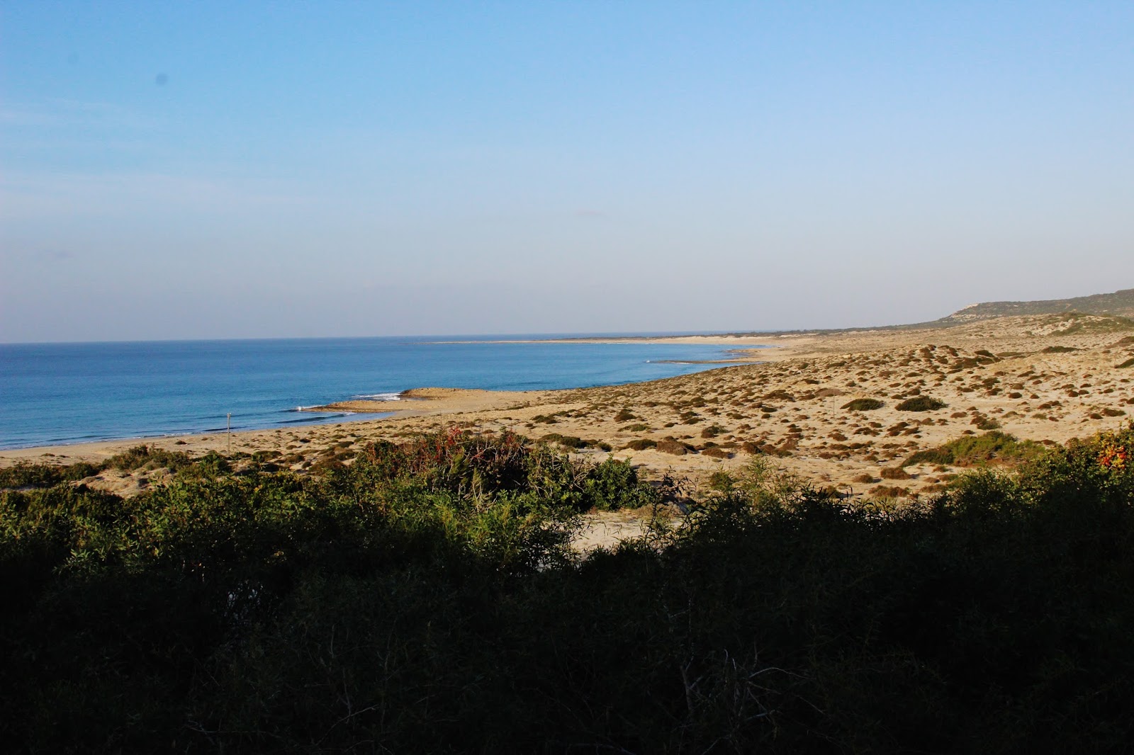 Biodiversity of Cyprus by NGO Protection of the Natural Heritage and ...