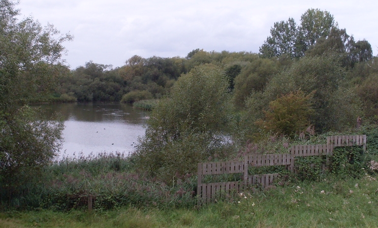 Walking The Peak: Denaby Ings Nature Reserve and Sprotbrough