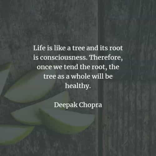 50 Health quotes and sayings to inspire you to be healthy