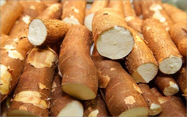 Leyenda de la Mandioca