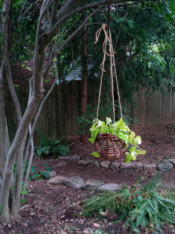 Nessy Designs: Wisteria Basket