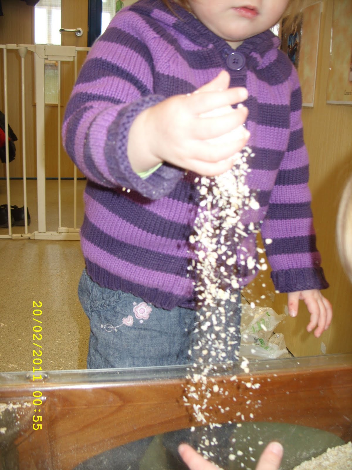 Schemas in Action at Thanet Early Years Project: Heaping and Scattering ...