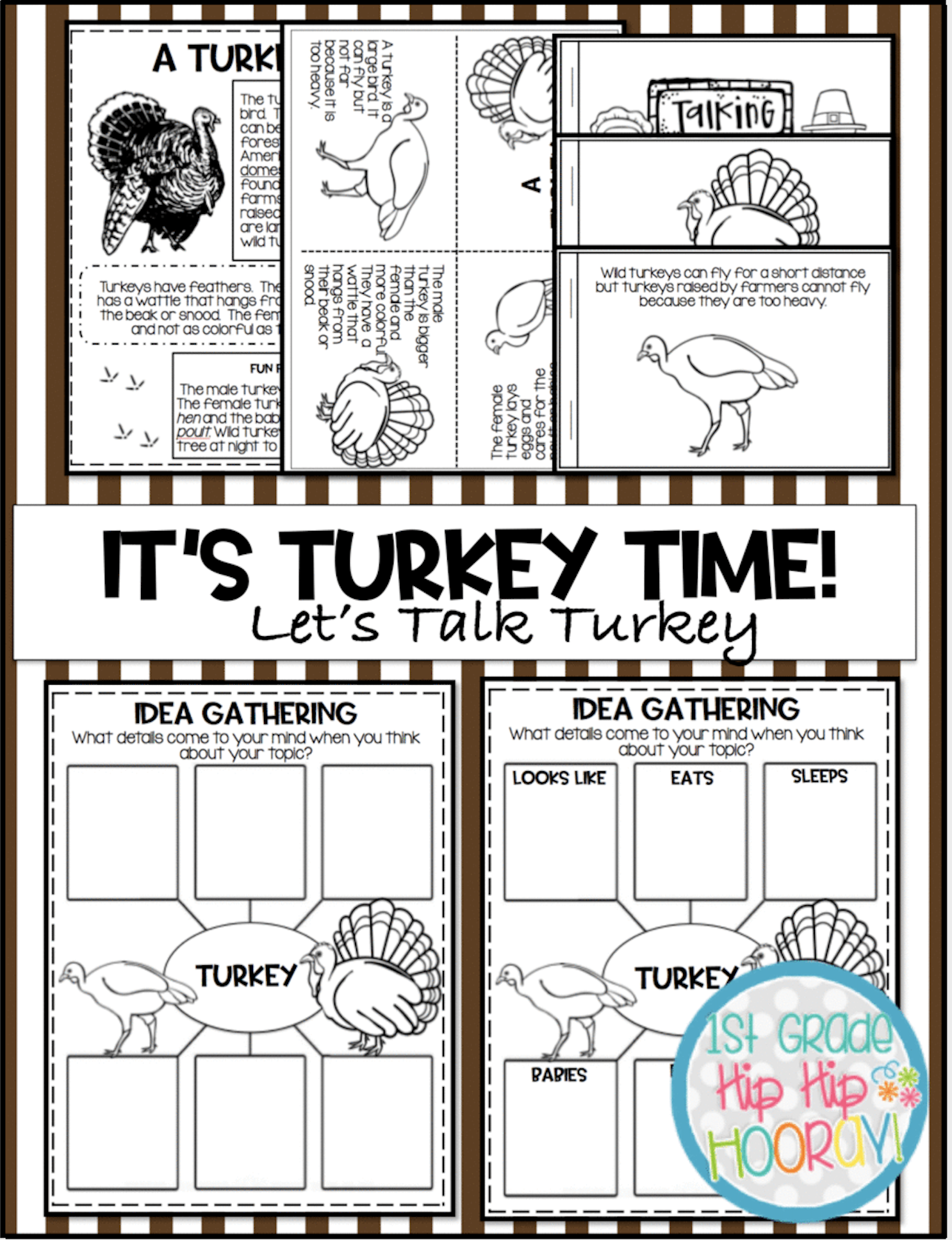 1st Grade Hip Hip Hooray!: Let's Talk Turkey!
