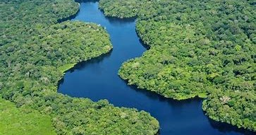 20% Oxygen of Earth comes from the Amazon Rainforest - GSF(Great ...