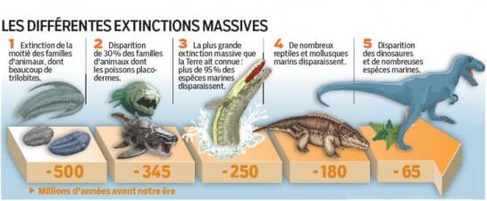 Mon édito écolo: Vivons-nous la 6ème extinction de masse