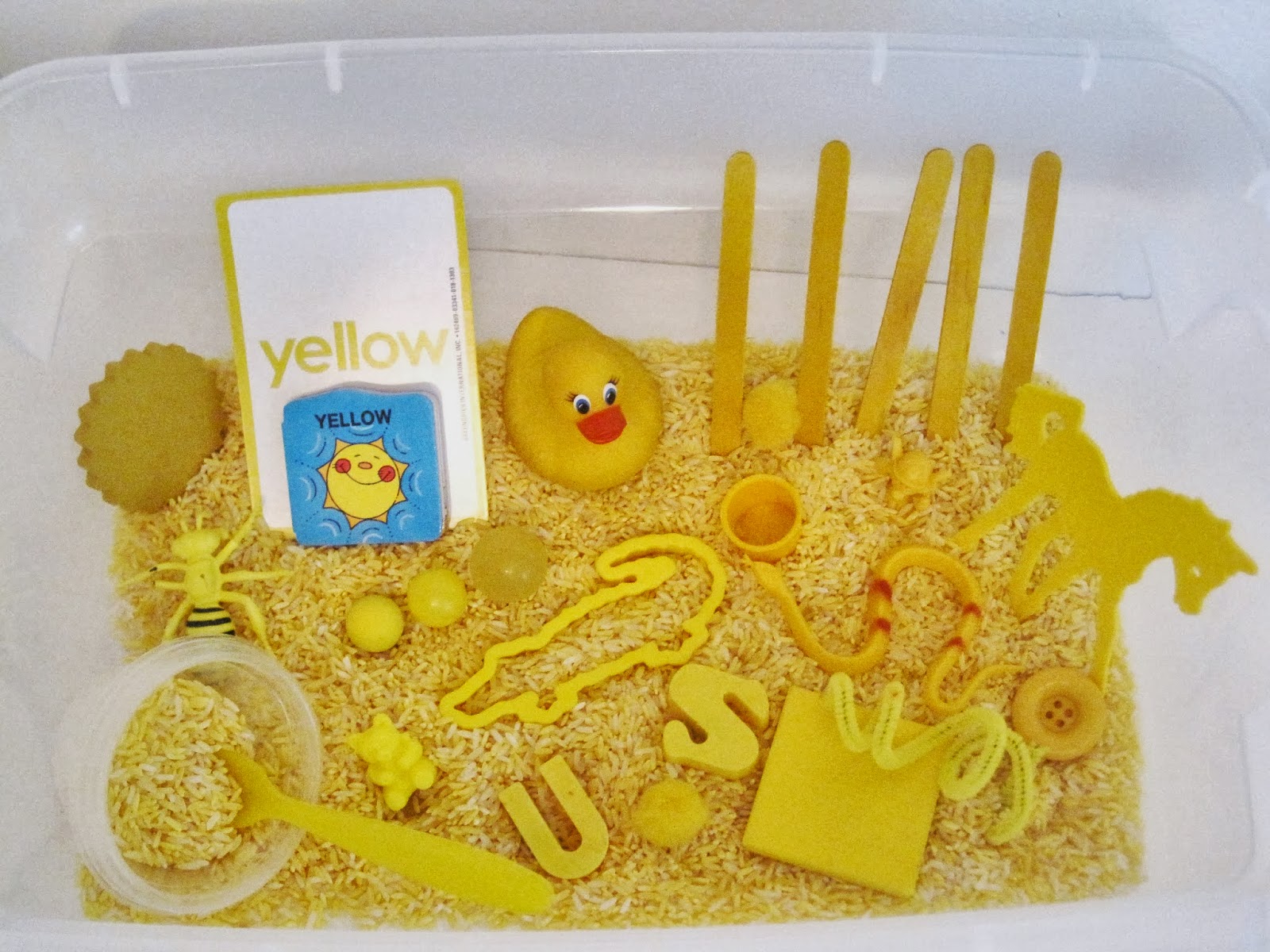 Organic Insights Learning Studio: How to Use Sensory Bins