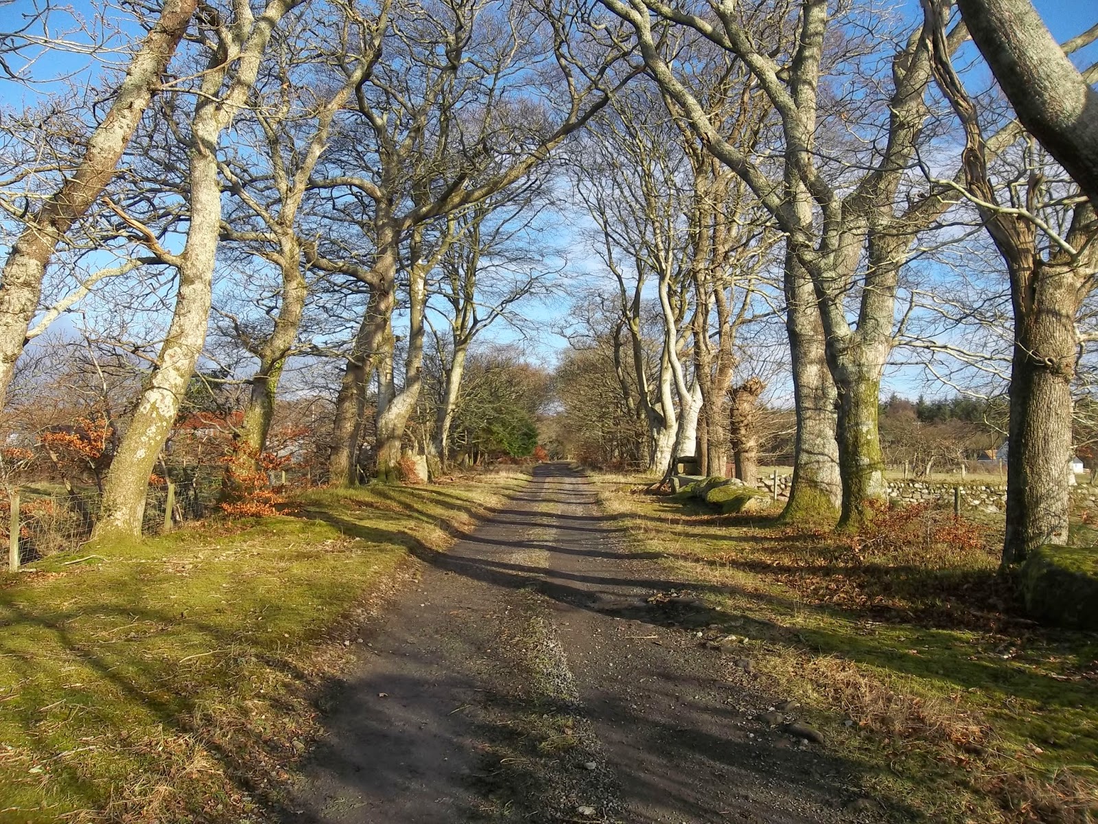 Thoughts of Chairman Mwyn: Lôn Goed Herald Gymraeg 25 Chwefror 2015