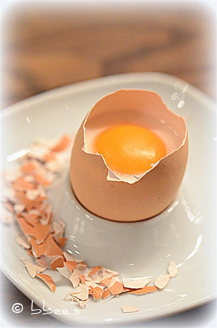 bbee´s soapsite: 02/01/2012 - 03/01/2012