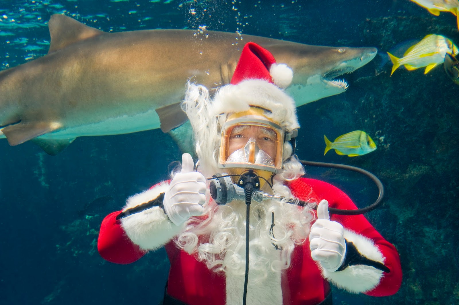 Submarine Matters: Christmas in Australia 2015