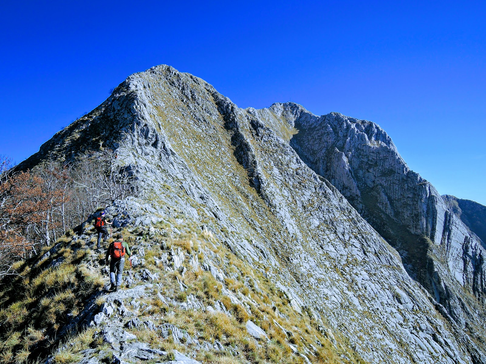 Piccoli Sentieri: L'Altissimo