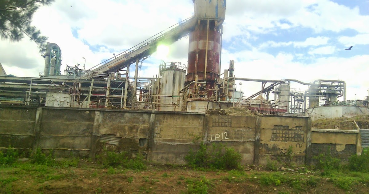 MARITIM'S DAILY POSTS: GOVERNMENT SHOULD REVIVE WEBUYE PAN PAPER INDUSTRY
