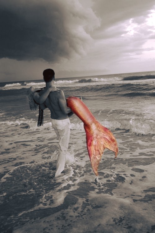 The Kabrini Message: Absolutely EVERYTHING (or at least the most ...