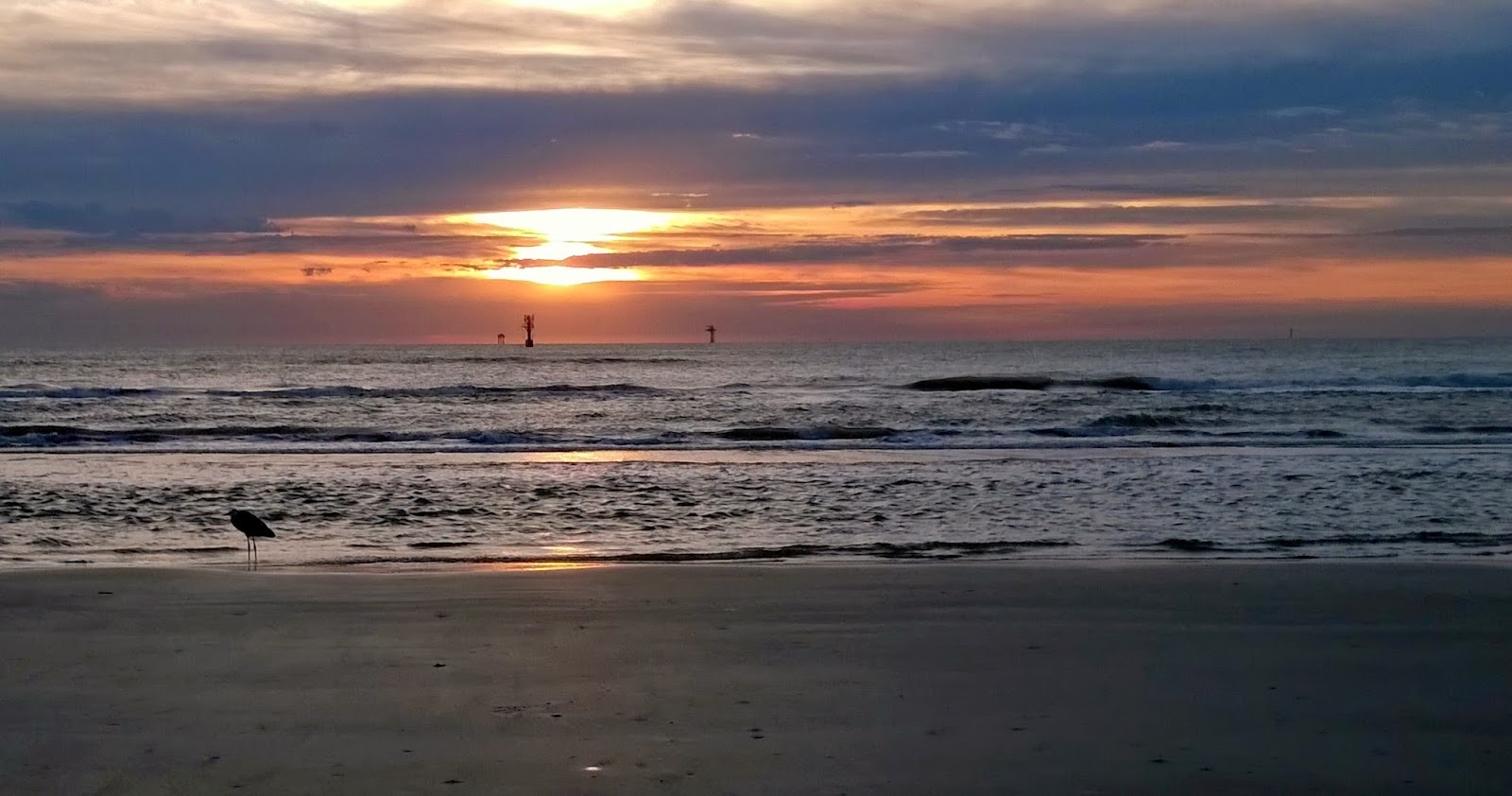 Goza's Wanderings and Wonderings: Mustang Island, Beach and Decisions