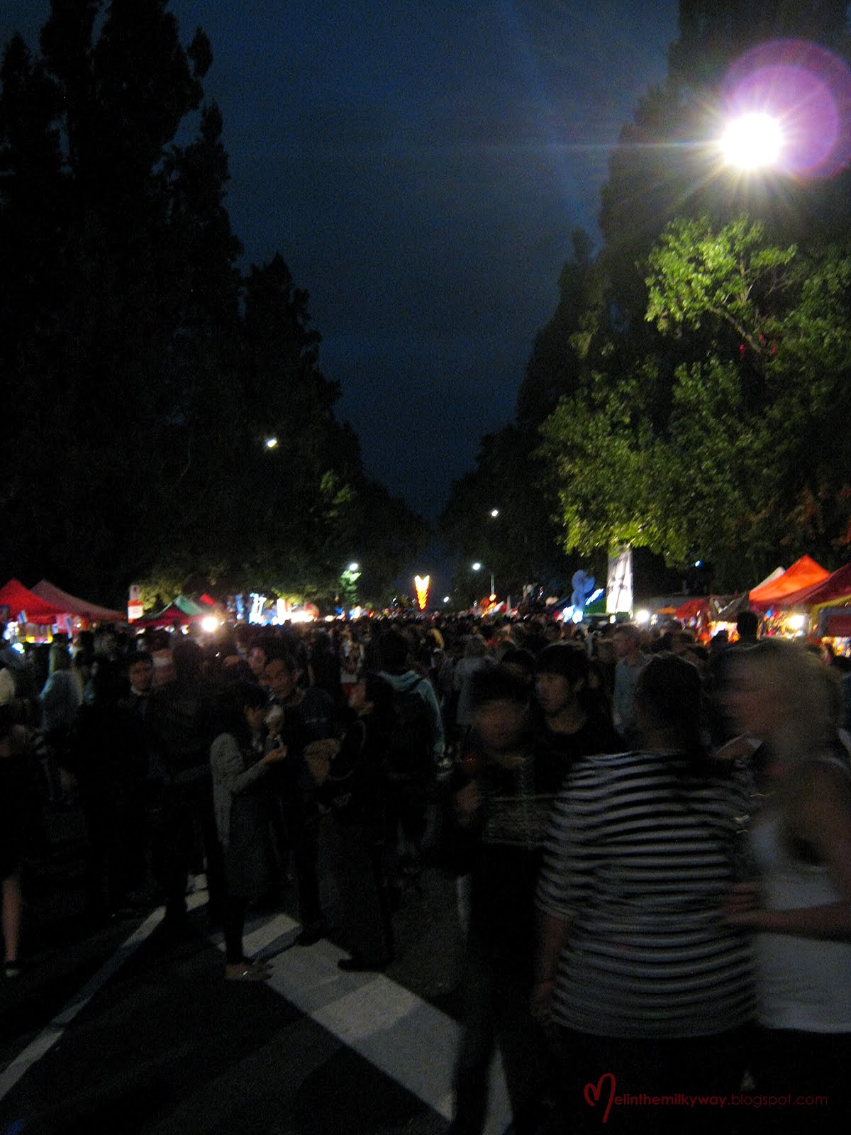 A guide to Auckland's Lantern Festival - mel in the milkyway