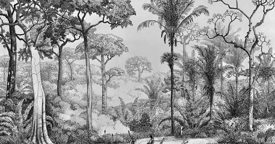 Artes Locus Arte E CiÊncia Uma RelaÇÃo ObrigatÓria
