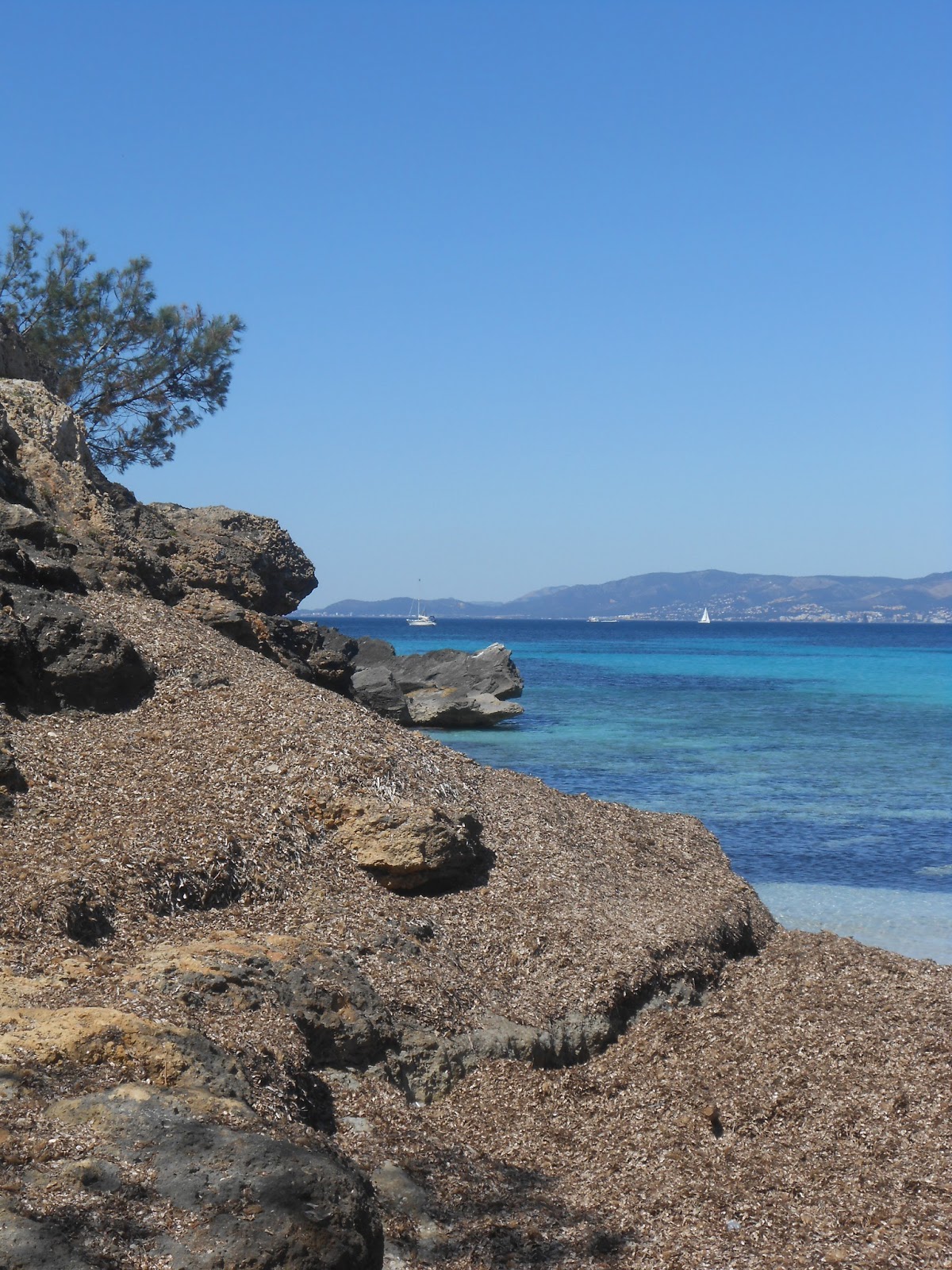 A tuttiplan: VAMOS... a bañarnos en Cala Blava