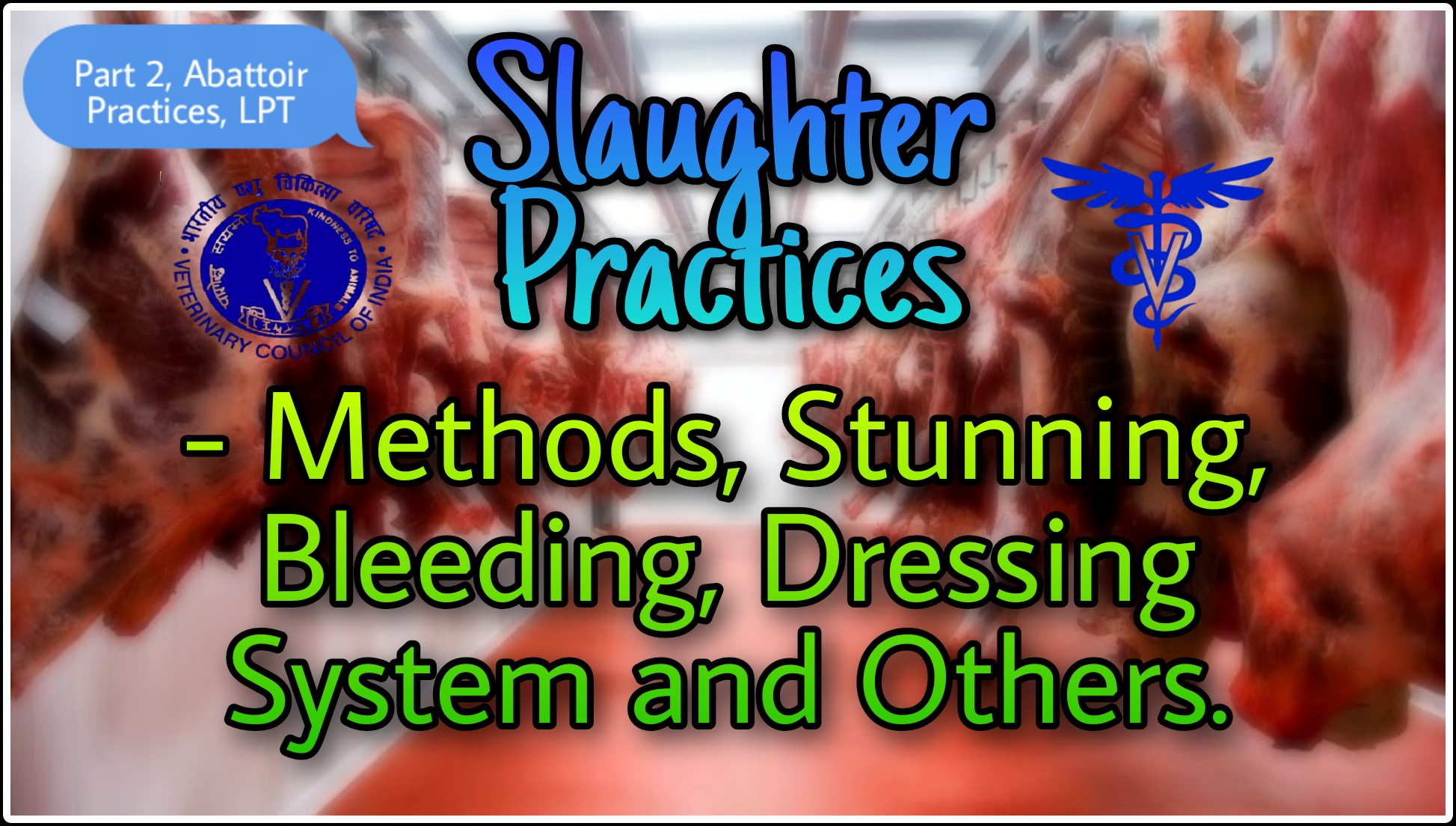 Slaughtering Methods, Stunning, Bleeding, Dressing System and Others.