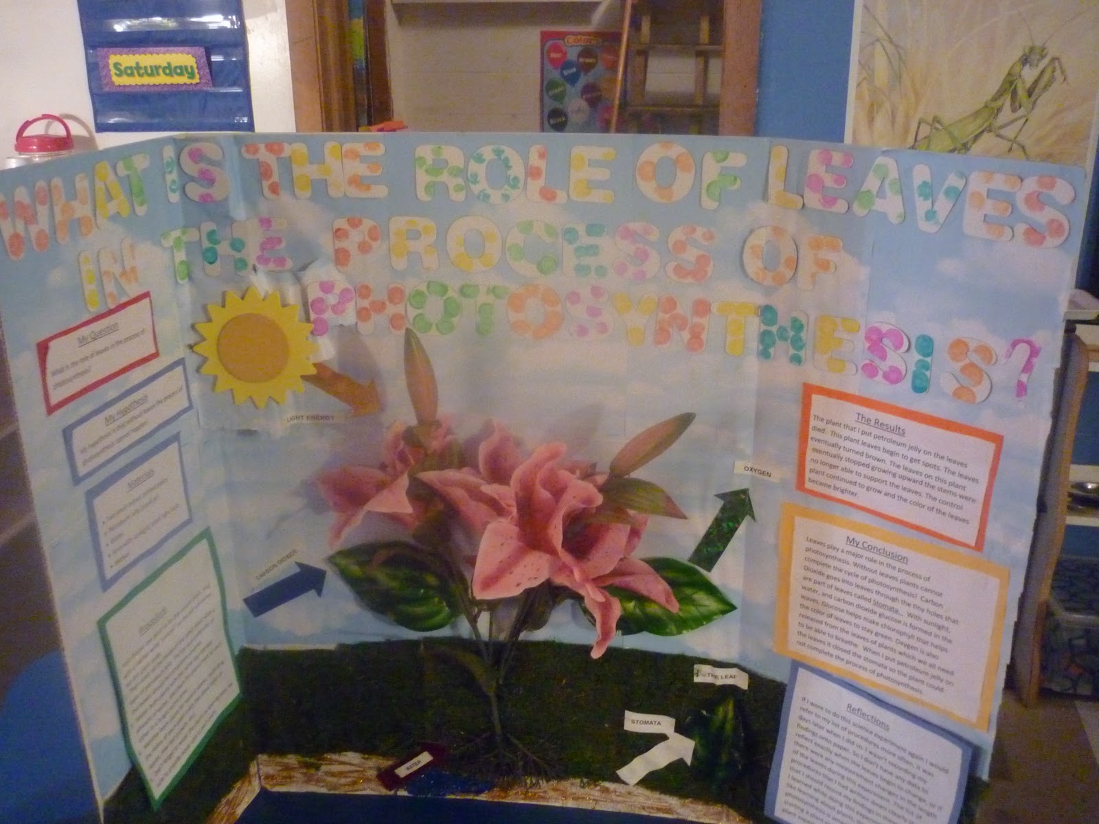 The Work Plan: The Garden Challenge