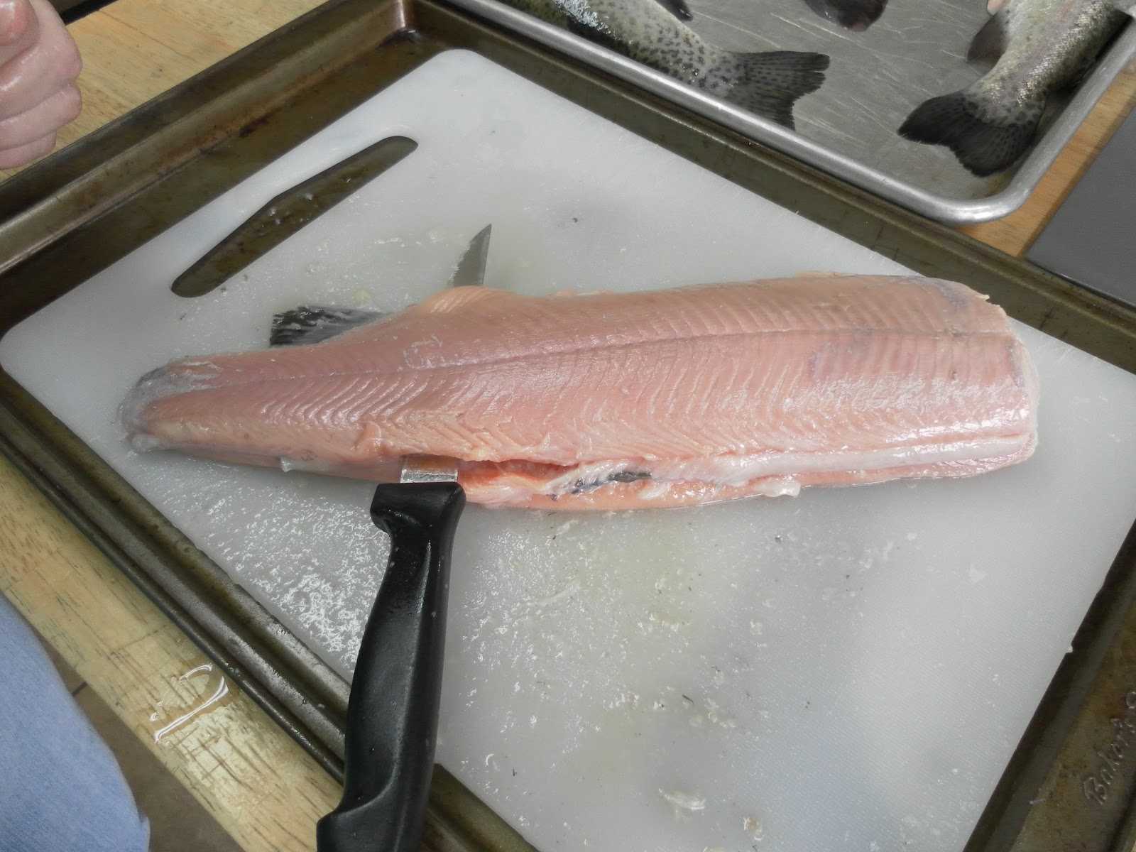 Nine for Dinner: How to Fillet a Fish
