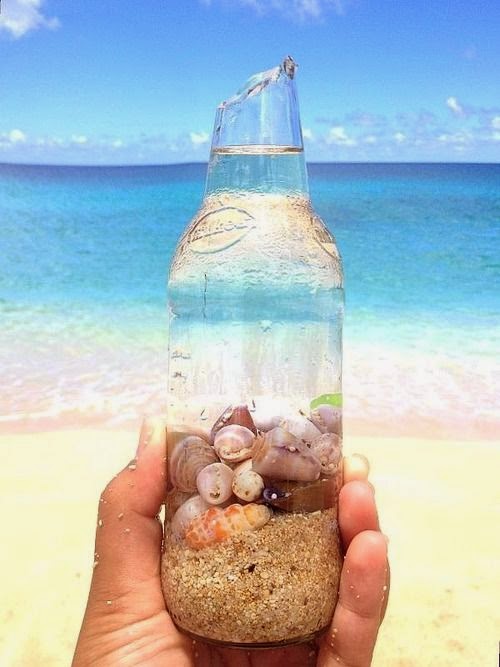 What Is Solarized Water at Mark Fletcher blog