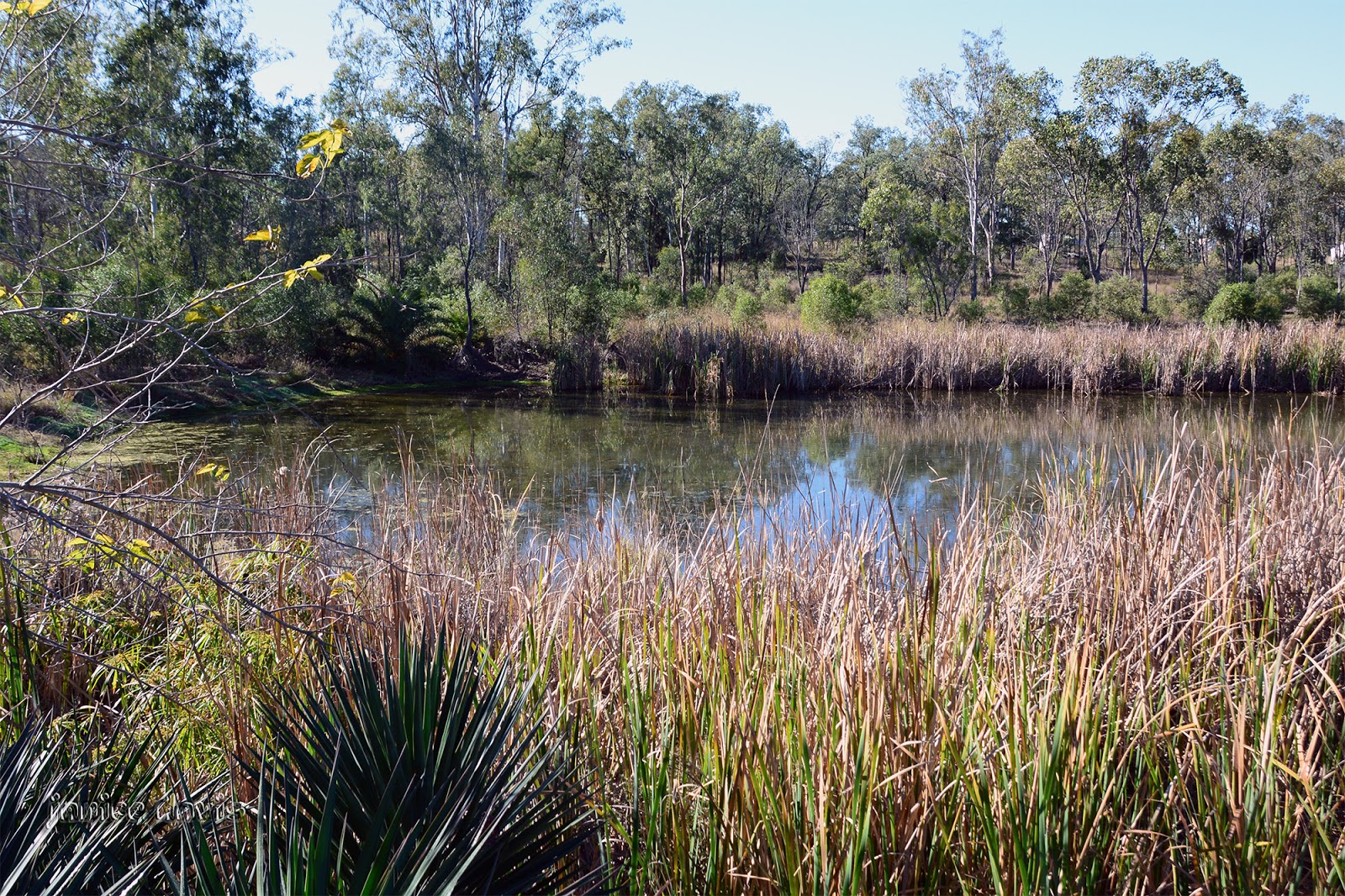 thoughts & happenings: Mundubbera, Queensland.