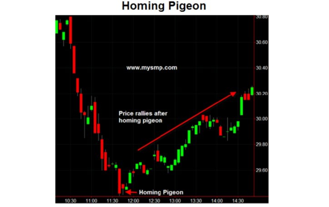 145 CANDLESTICK PATTERNS || PAGE 17 || (33) Homing Pigeon ;(34 ...