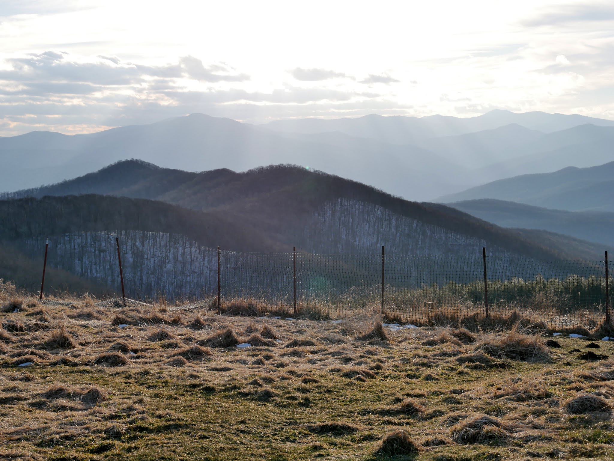 American Travel Journal: Max Patch Road to Max Patch Summit ...