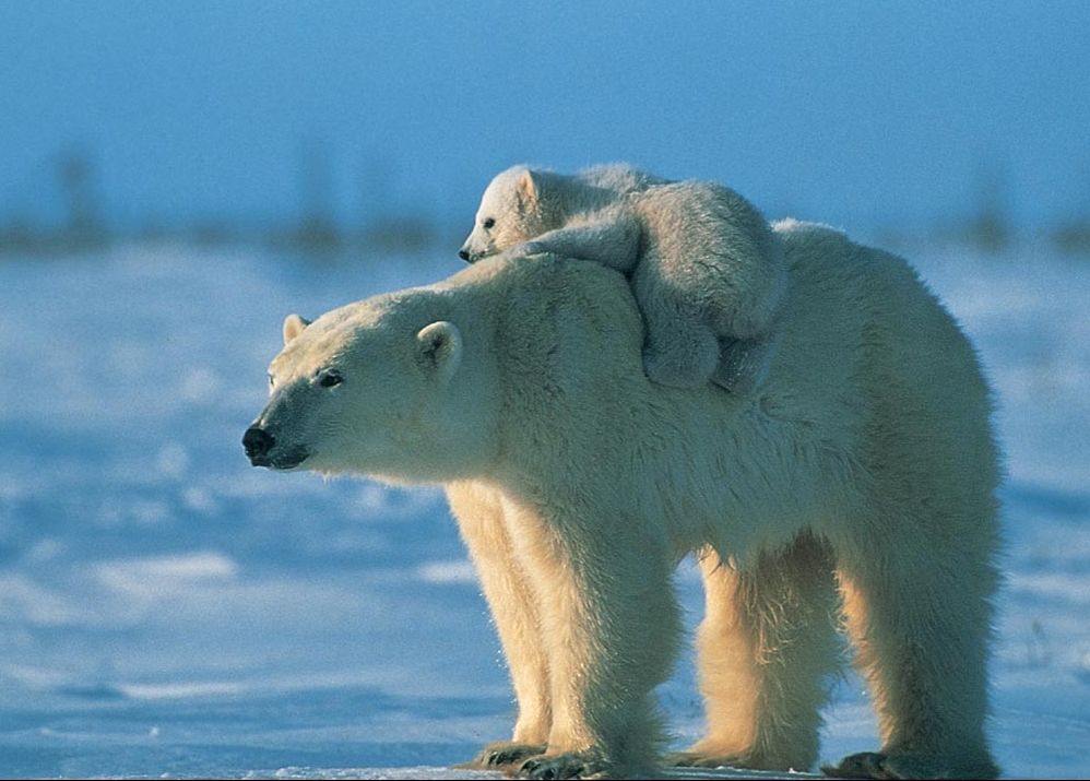 Calendarul zilei: 27 Februarie