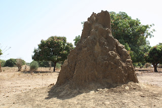 Mi Universo Viajando: PARQUE NATURAL SINE SALOUM SENEGAL