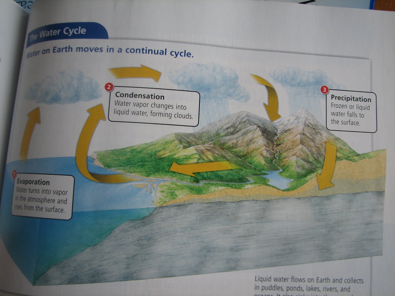 Science Matters: Water Cycle: The Incredible Journey