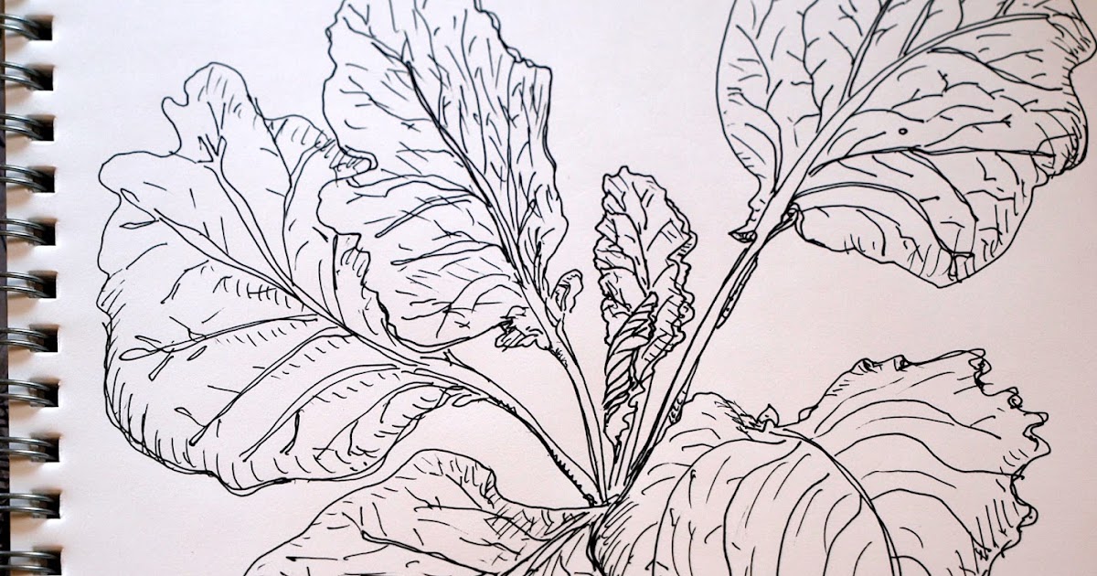 KnitOwl: of cabbage, pens, and antenna receivers