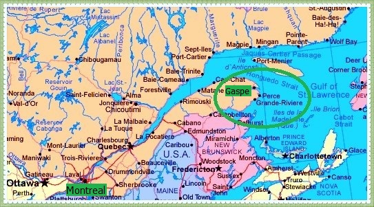 educational reflections with Mr. P, OCT (formerly Rumblings from 52 ...