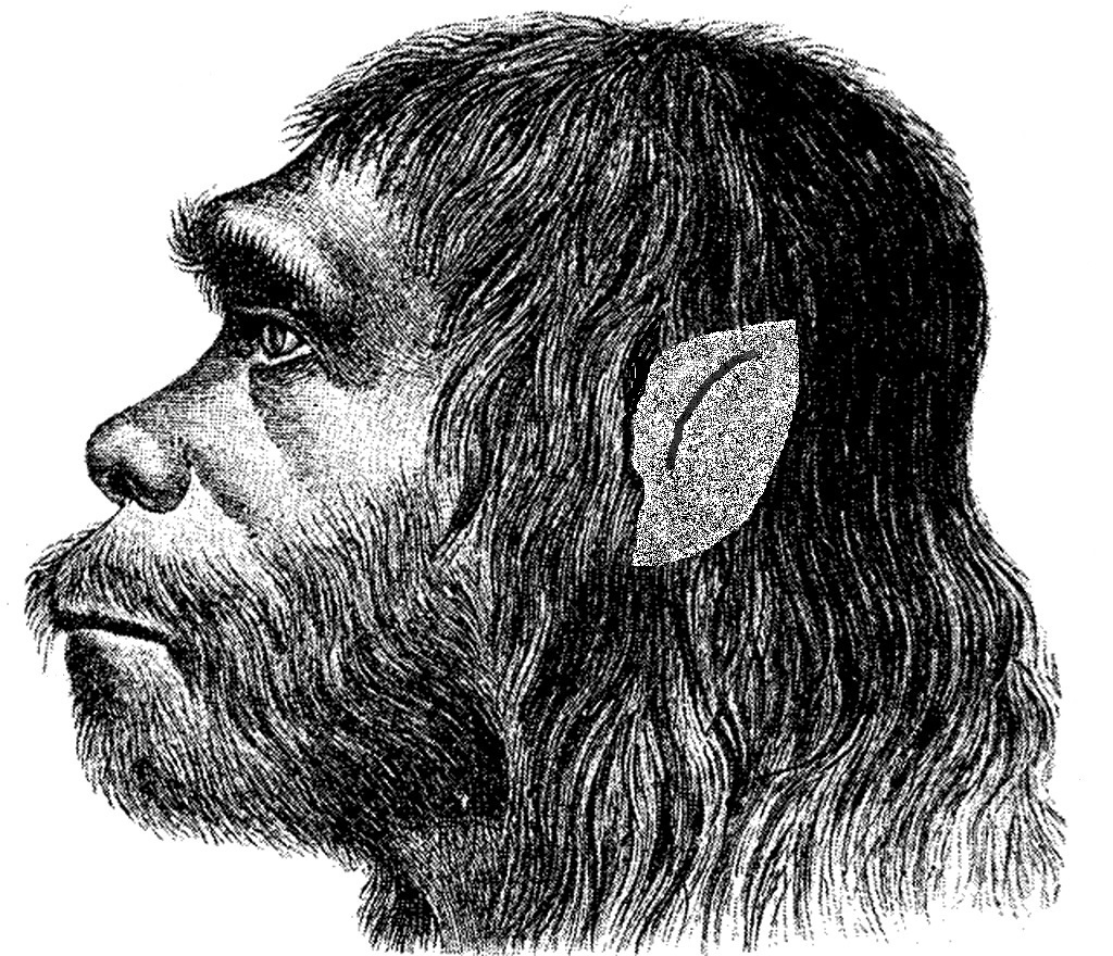 Pits Perilous: On the Origin of the (Demi-Human) Species...