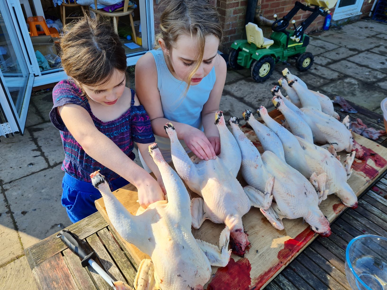 An English Homestead: Butchery Day