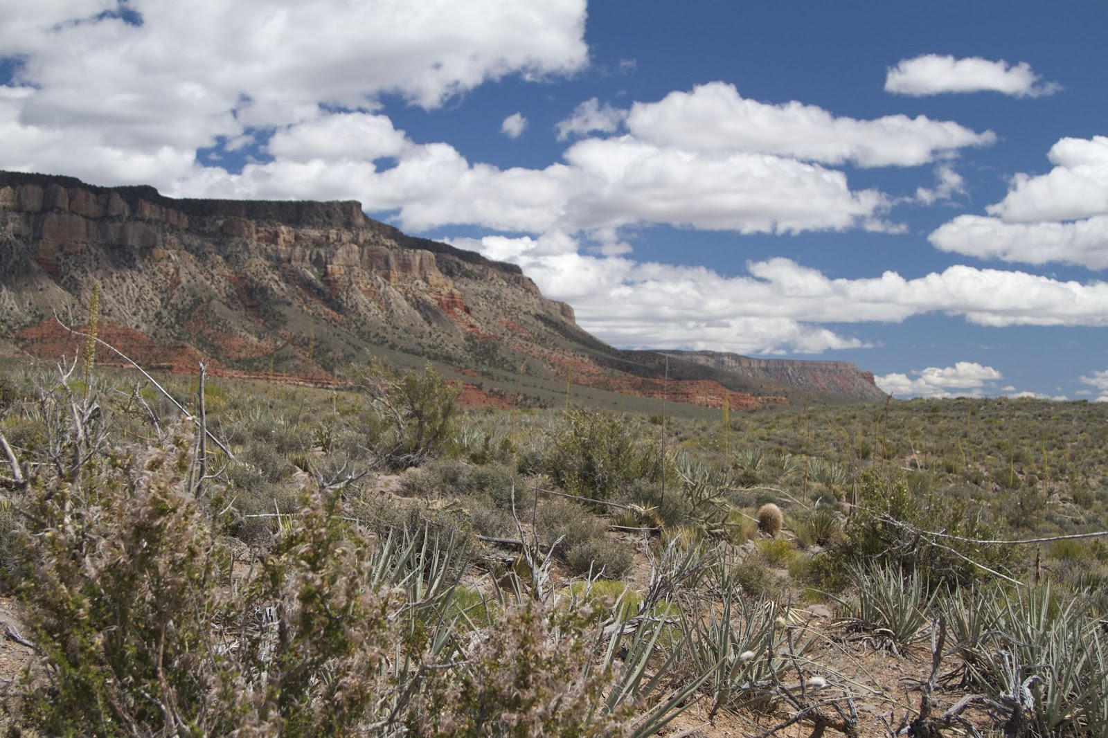 Running From Moose: The Arizona Strip: Snap Point