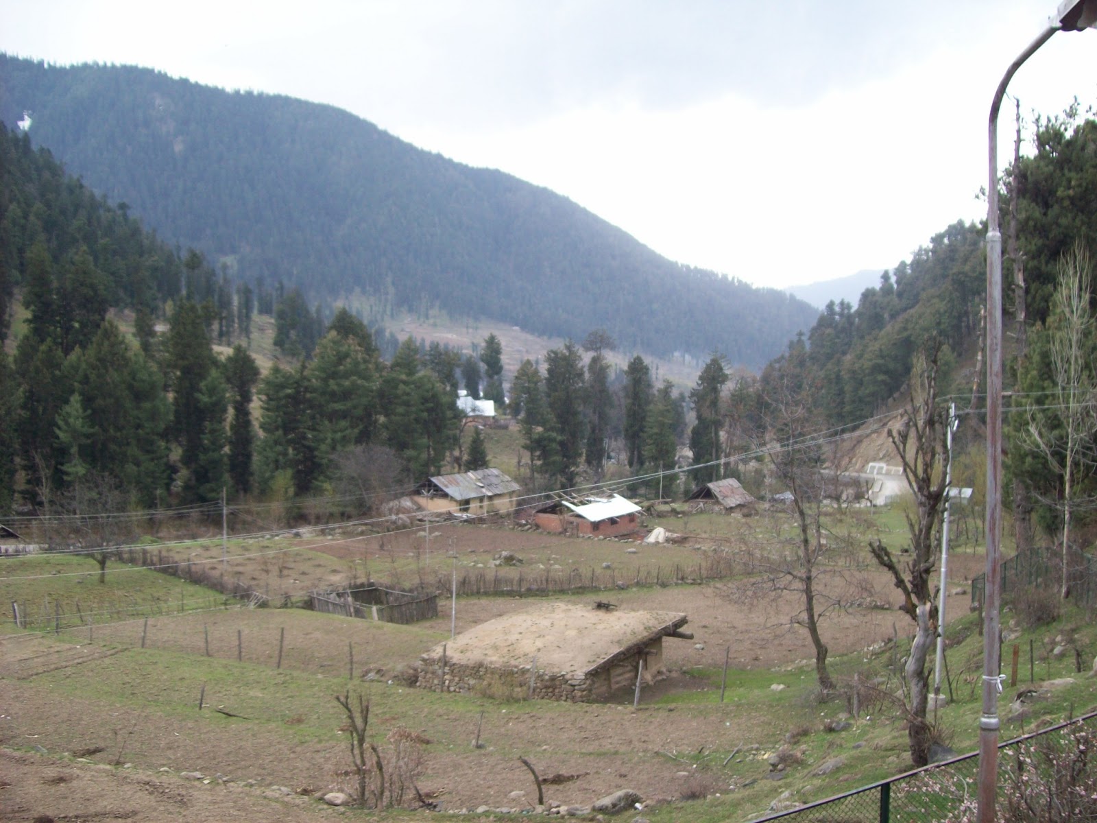 CHINAR SHADE : DAKSUM :A HILL RESORT ON ANANTNAAG -- KISHTWAR ROAD IN ...