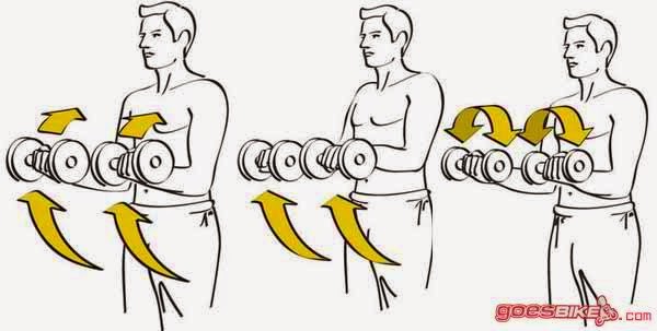 Jail: Tips : Olah Raga Untuk Memperkuat Tangan Pengendara