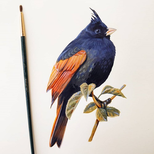 My Owl Barn: Gouache Bird Paintings By Kaitlin Hoyt