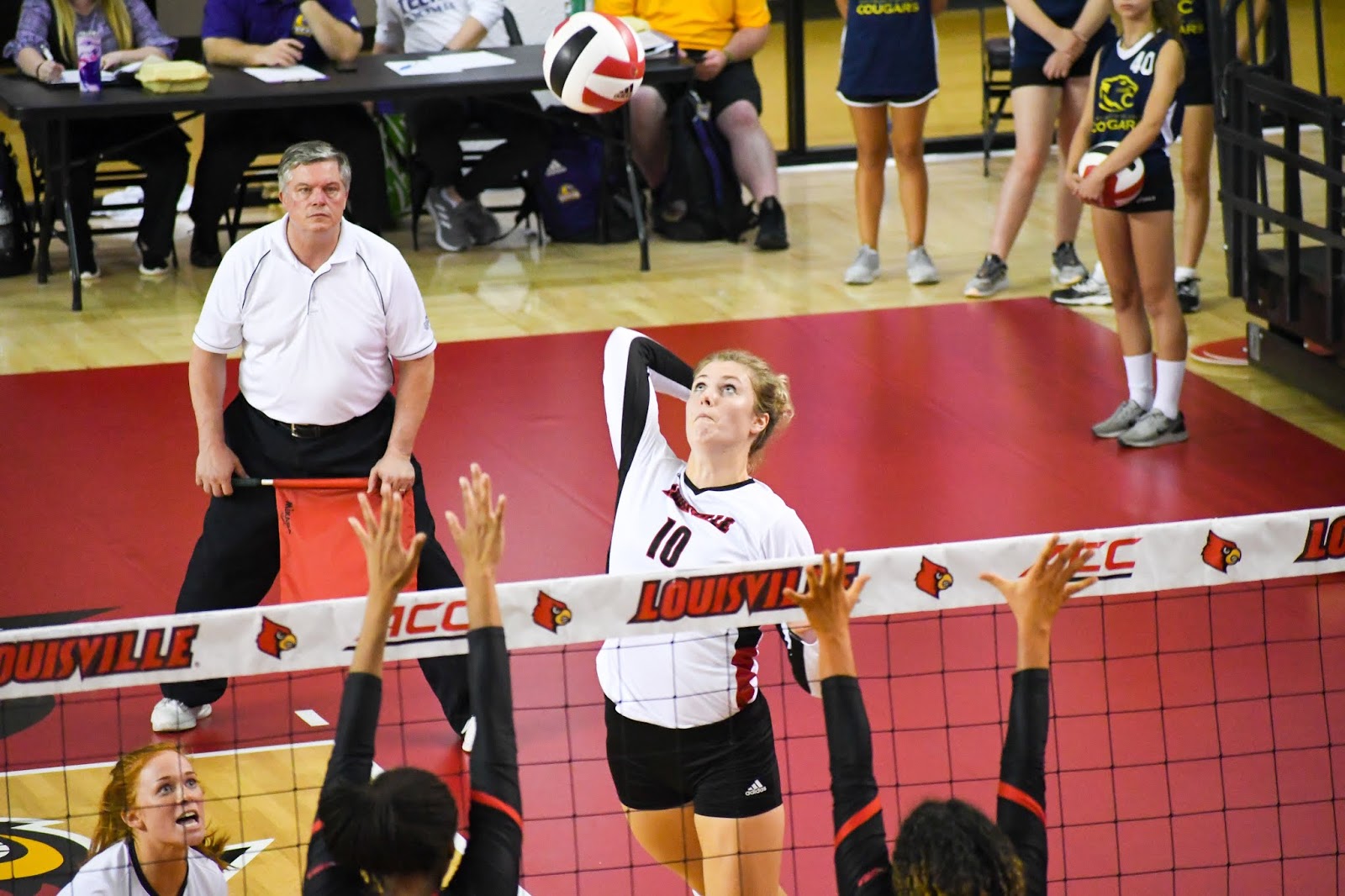 Cardinal Couple: Volleyball Double-header Saturday