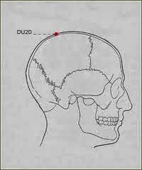 HUNDRED MEETINGS DU-20 ( OR ) GV-20 ACUPRESSURE POINT