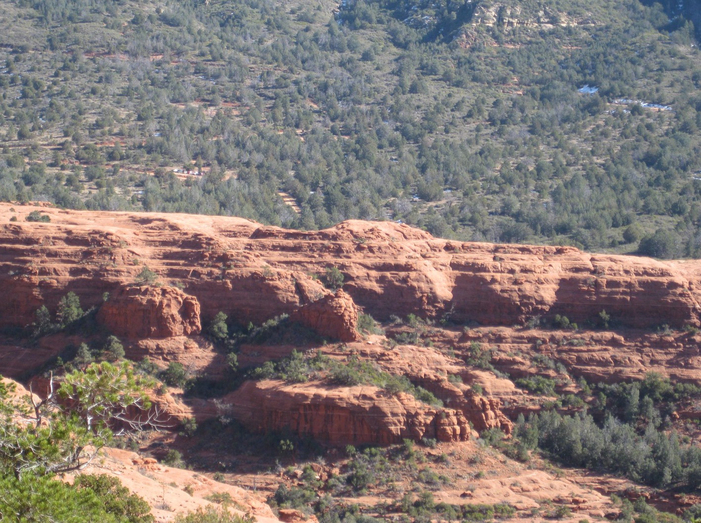 What's Up with Ellis: Cowpies-Mitten Ridge Trail