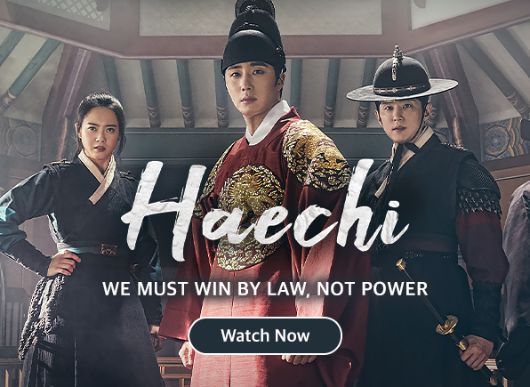 Review Drama Korea - Haechi | DaRi HaTi Miss MuLaN