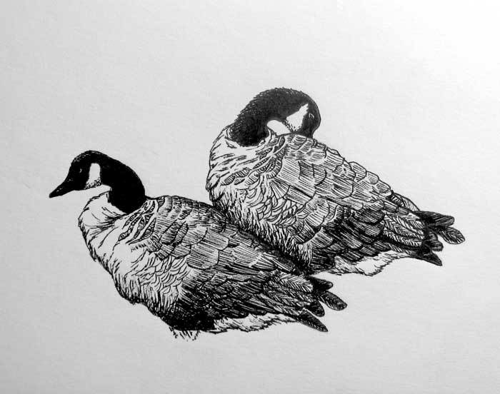 Inner Artist: Sketching at the Local Watering Hole