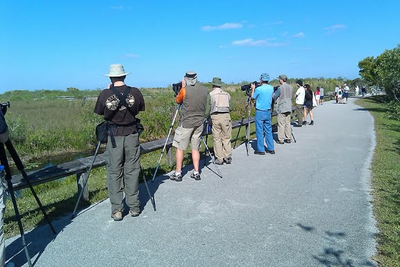 Terry's Place: Friday Field Trip - Everglades National Park