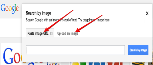 Google Search by Image - A Simple Visual Guide for Teachers and ...