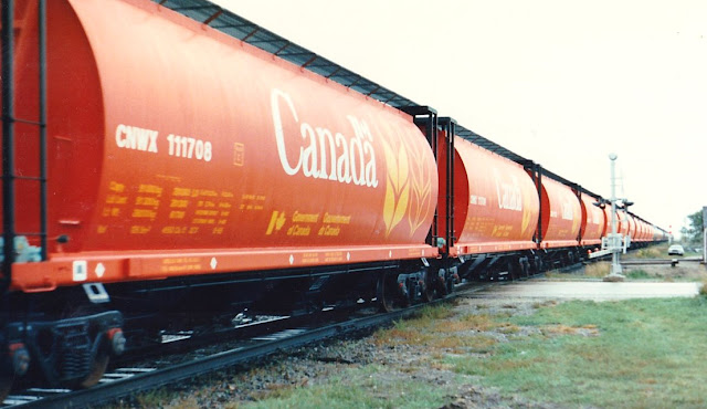 Trackside Treasure: Canada's Grain Fleet - Covered Hoppers