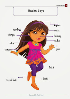 ANGGOTA BADAN: Anggota Badan