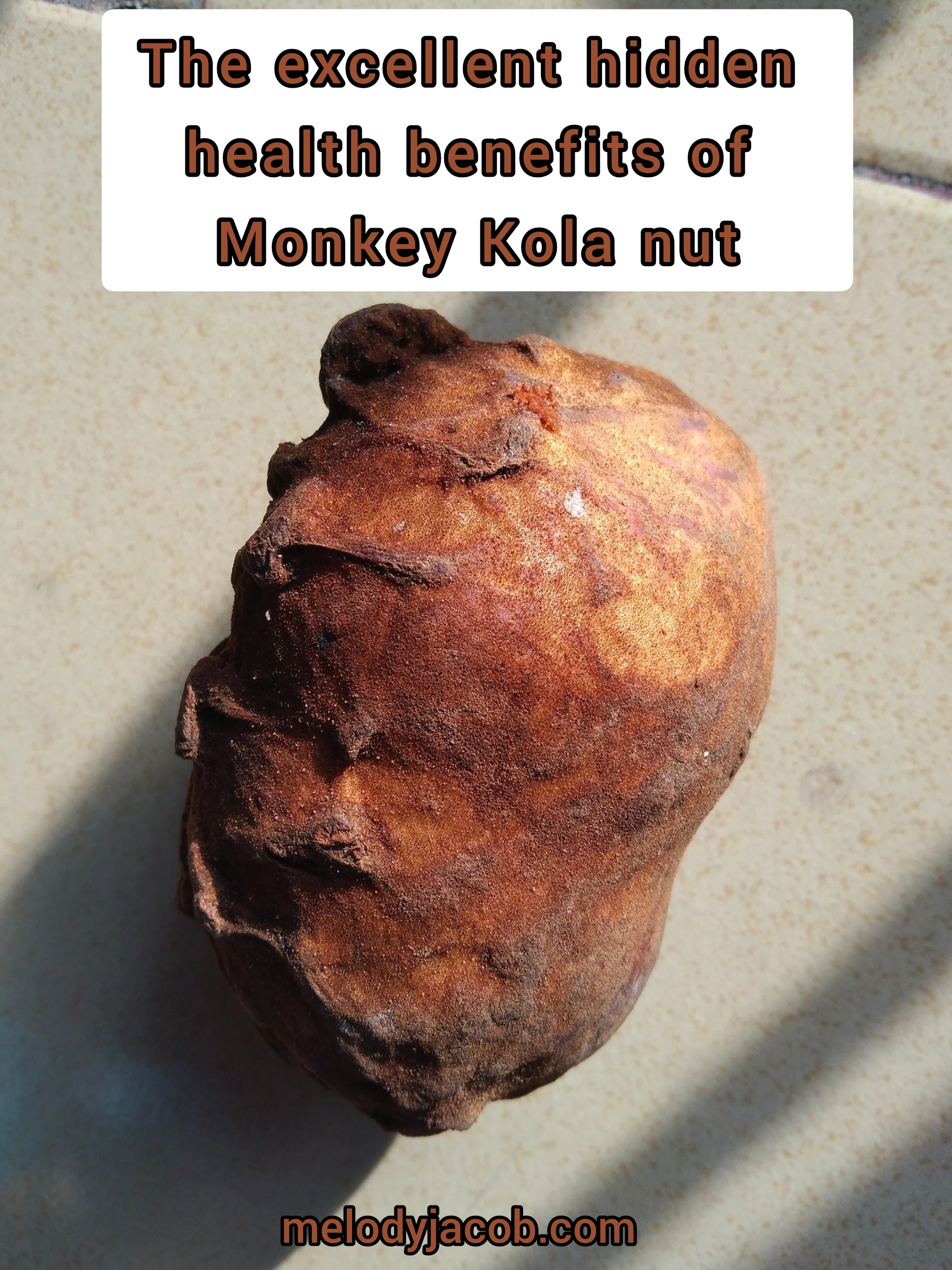 Health benefits of the Nigerian Yellow Monkey kola nut | Melody Jacob